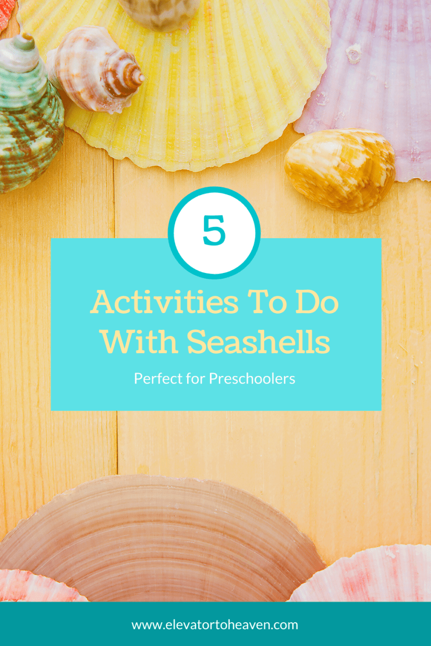 5 Activities to do with Seashells : Elevator to Heaven