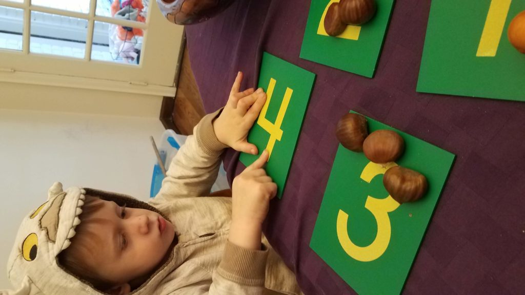 Montessori Inspired Fall Activities for your Preschooler
