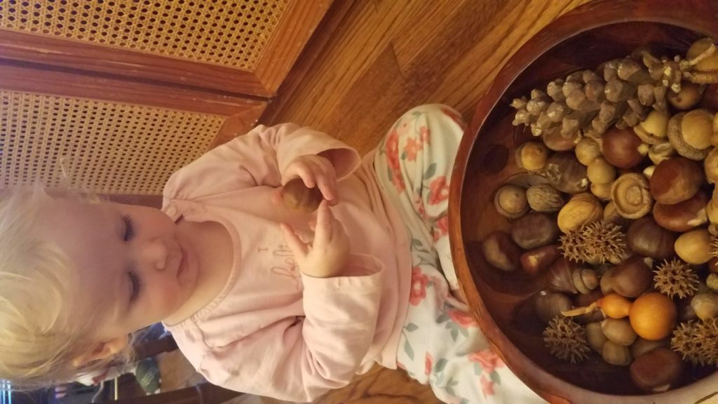 Montessori Inspired Fall Activities for your Preschooler