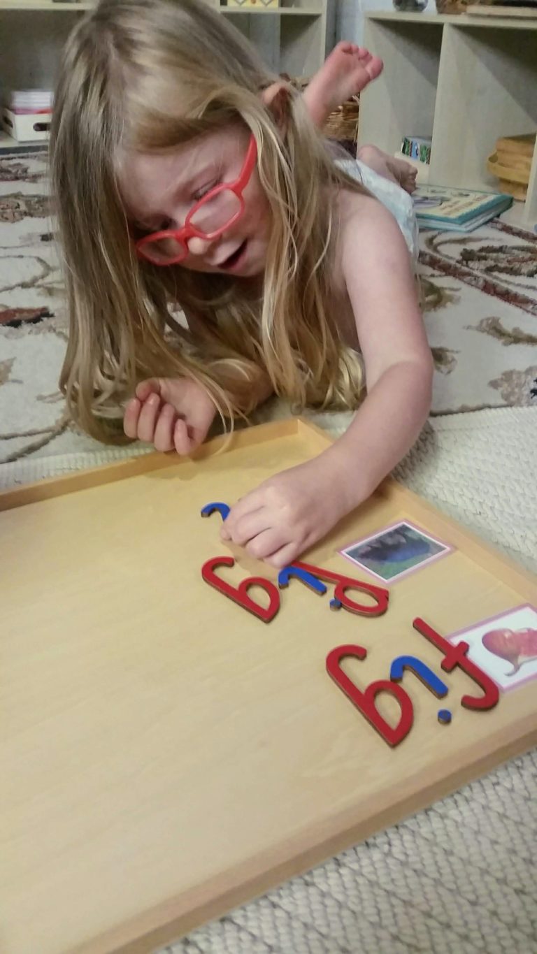 Moveable Alphabet for Montessori Language