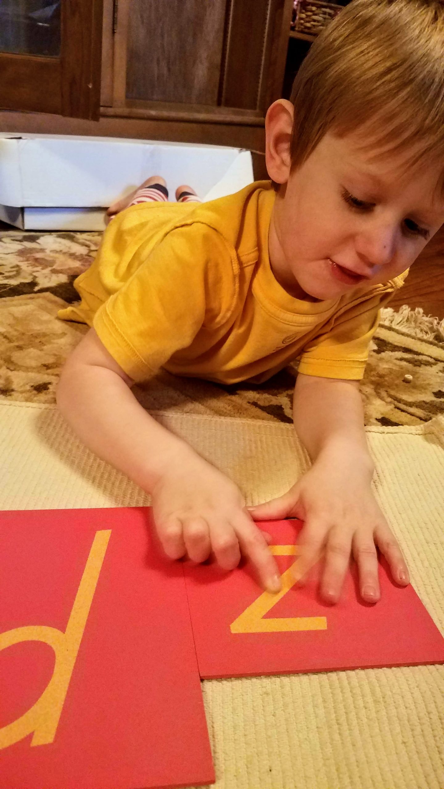 Montessori Language: Sandpaper Letters and How to Use Them