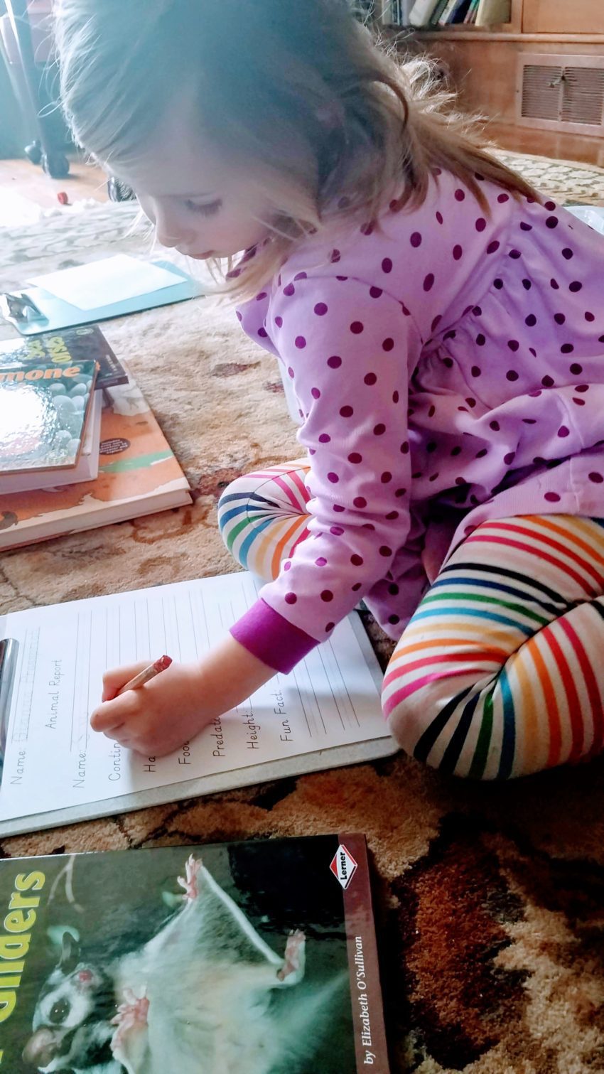 Montessori Geography Bundle: Teach Your Child to Research