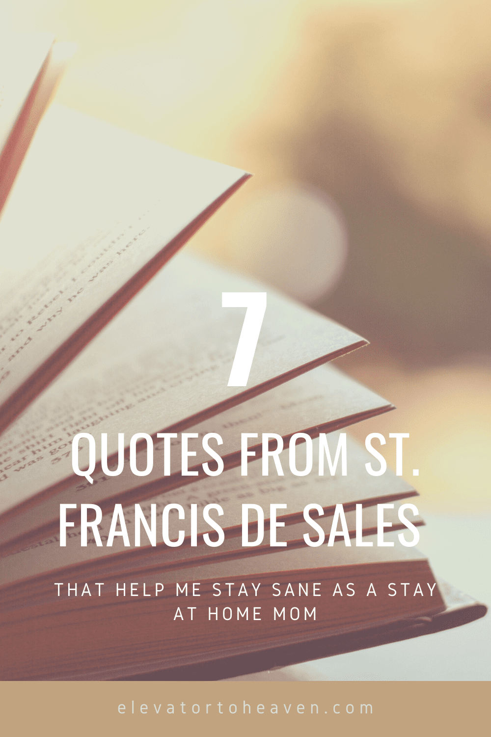 7 St. Francis de Sales Quotes that Help me Stay Sane